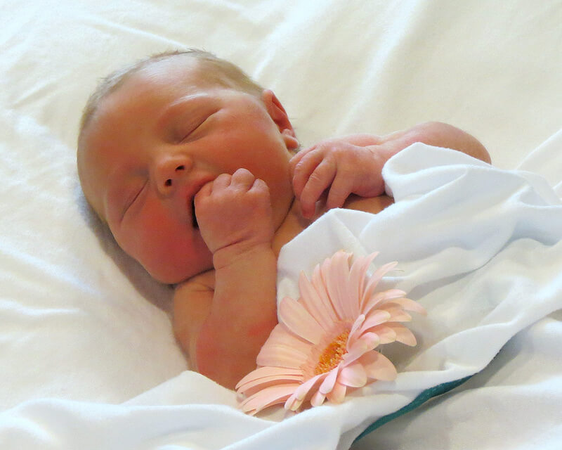 Baby Lily Moves In - Soap Queen