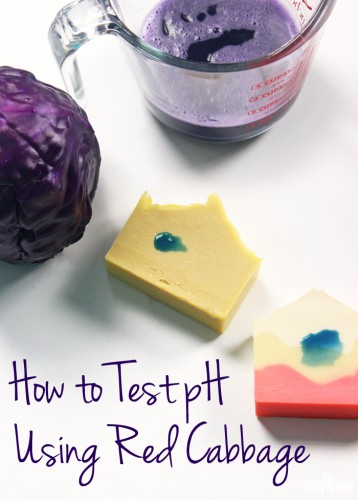 How to Test pH with Red Cabbage - Soap Queen